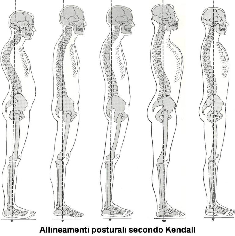 Valutazione posturale - Scienza del Movimento