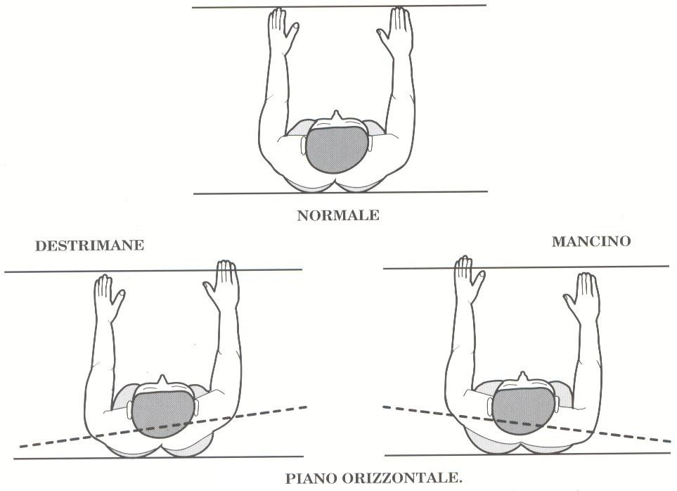 Valutazione posturale - Scienza del Movimento